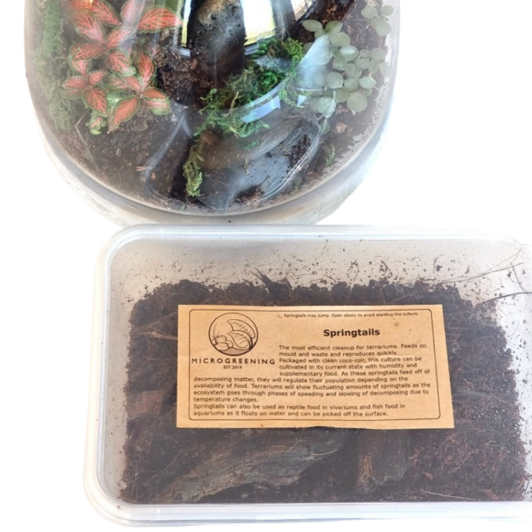 Springtails | Botanista: Home of Fleurieu Gifts